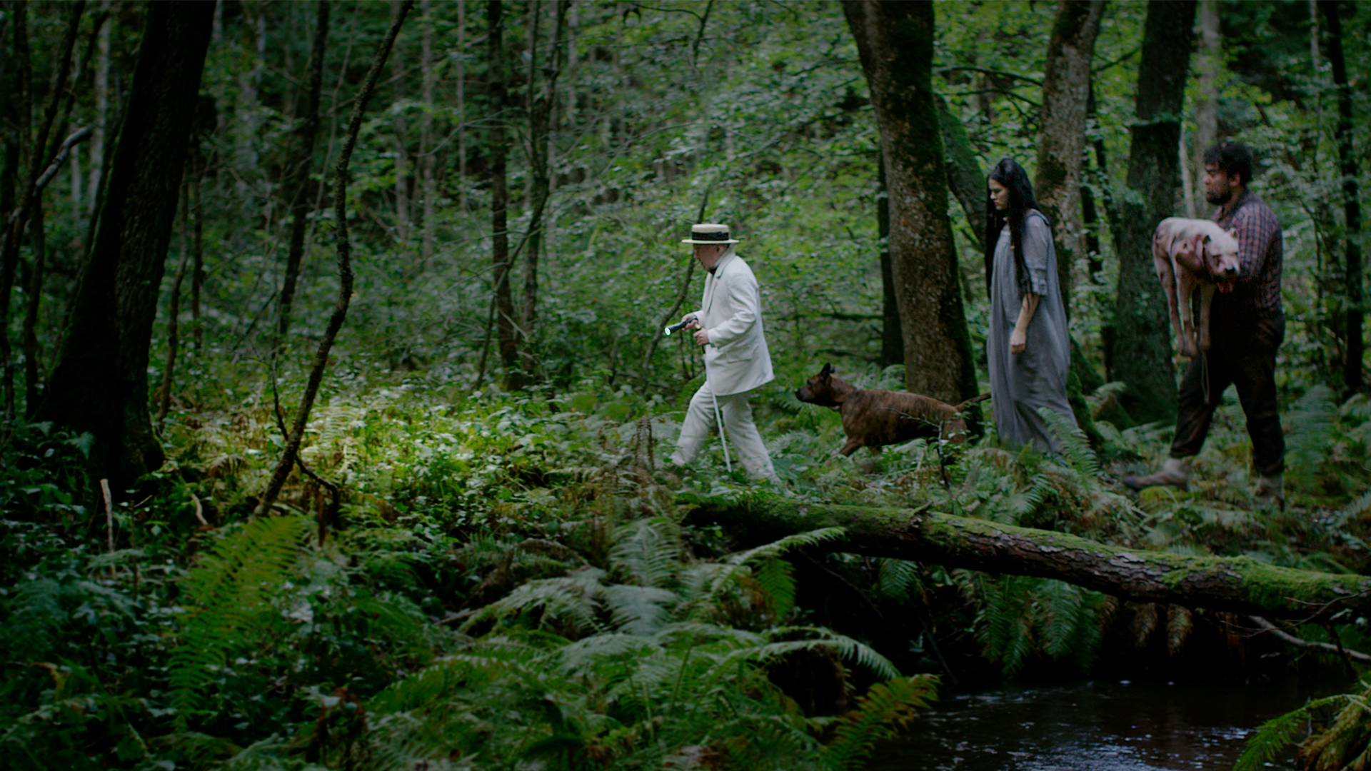 Movie Review: Koko-di Koko-da | Surgeons of Horror