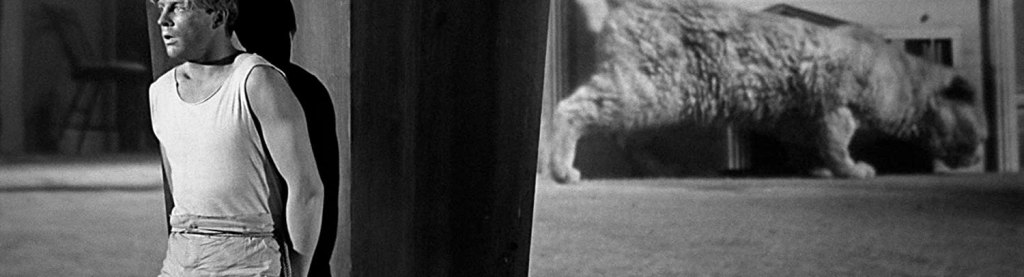 Retrospective: The Incredible Shrinking Man (1957) | Surgeons of Horror