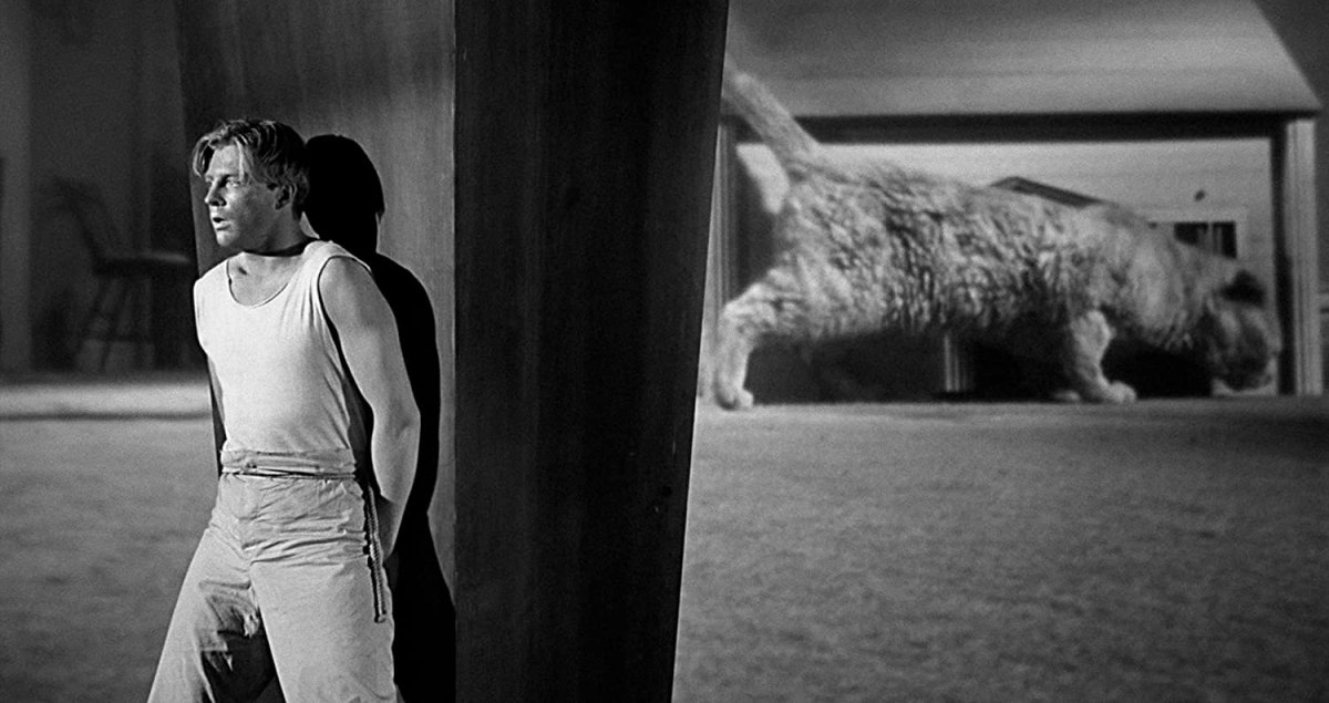 Retrospective: The Incredible Shrinking Man (1957) | Surgeons of Horror