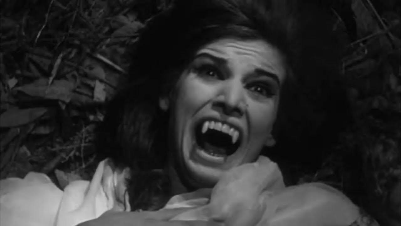 Eclipsing Darkness: Exploring the Legacy of ‘The Slaughter of the ...